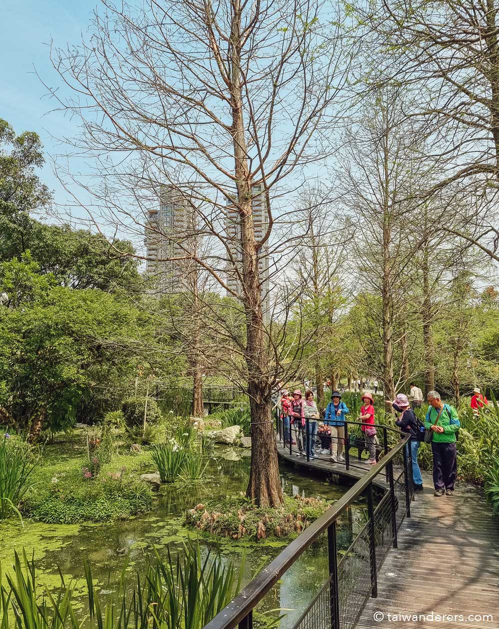 Perfect 3 Day Taipei itinerary Guide + Photos 2025 - Taiwanderers