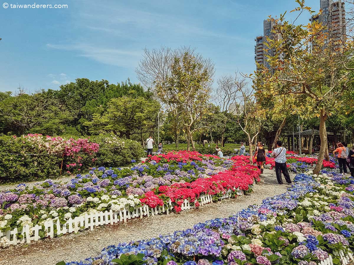 Daan Forest Park in Taipei, Taiwan Guide + Photos - Taiwanderers