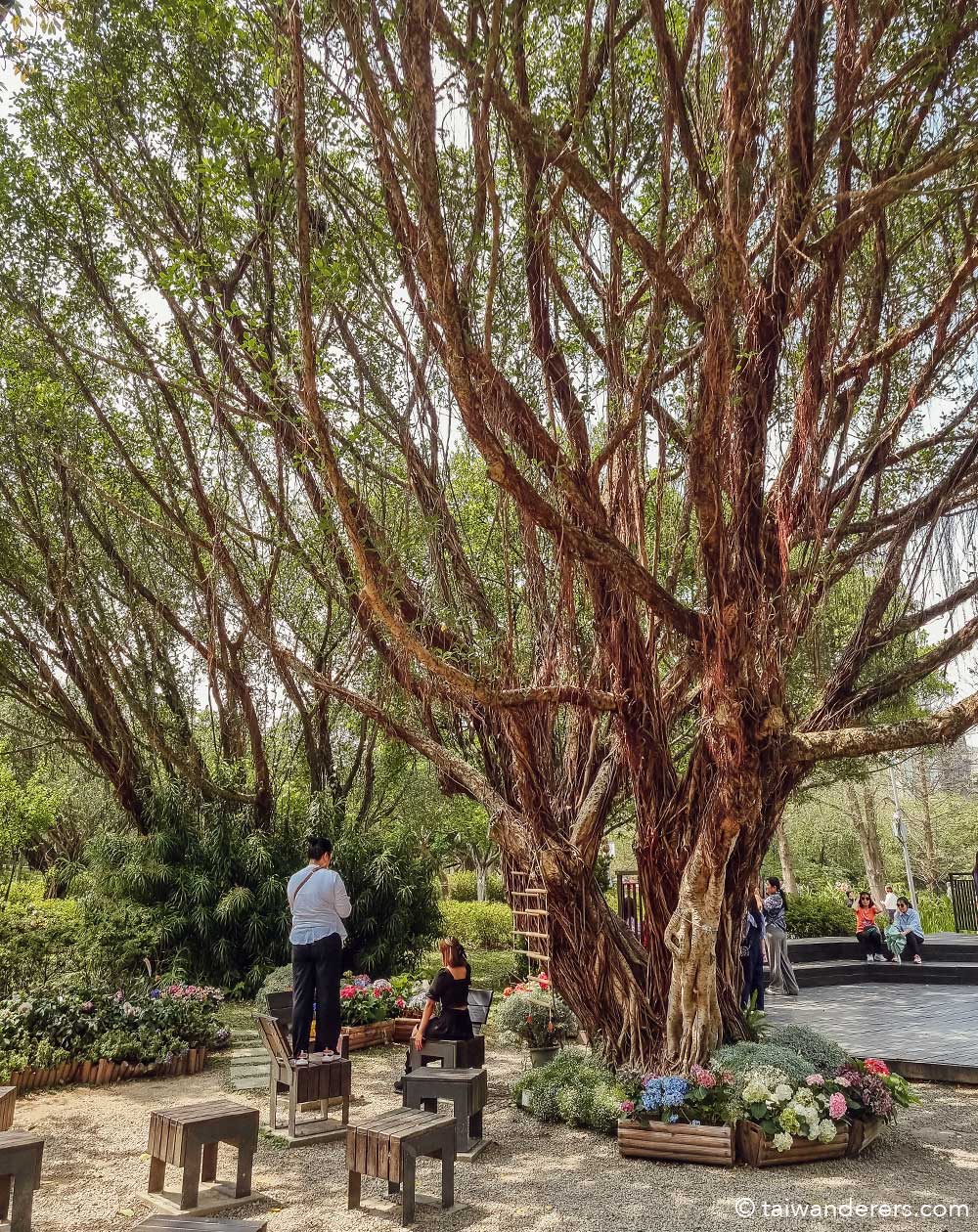 Daan Forest Park in Taipei, Taiwan Guide + Photos - Taiwanderers