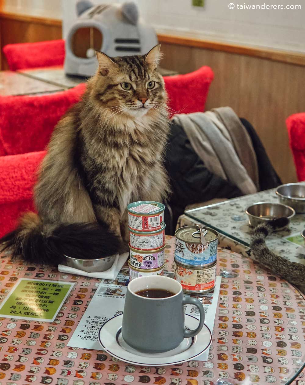 10+ Themed Cafes in Taiwan / Themed Restaurants 2025 Guide - Taiwanderers