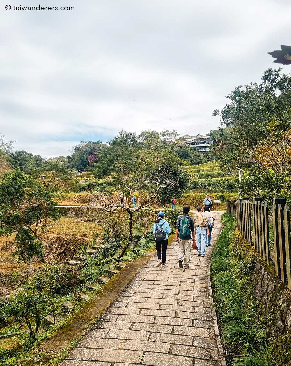 Maokong - Take the Gondola to Taipei’s Tea Fields 2025 Guide - Taiwanderers