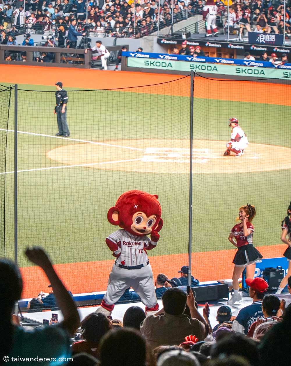 2026 Taiwan Baseball / Taipei Baseball Ticket Guide (CPBL) - Taiwanderers